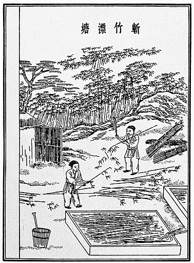 The History of Paper and Corrugated Cardboard – Innovation and Circular ...